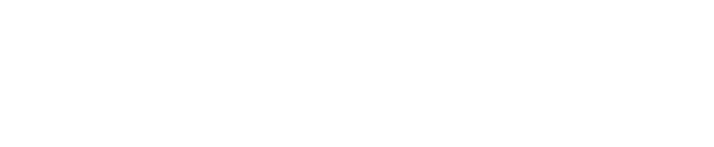 SMALL WORLD - Global IT Engineer Recruitment Career